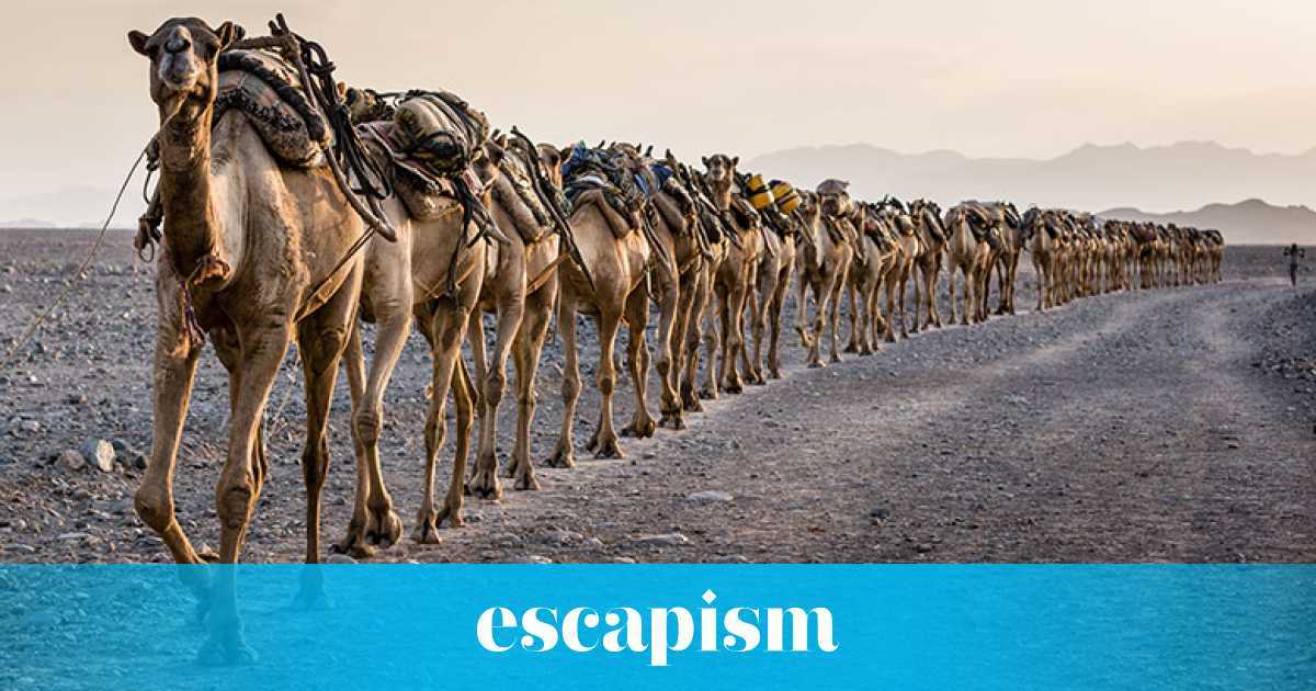 25 Great Pictures: Sony World Photography Awards 2015 | Escapism