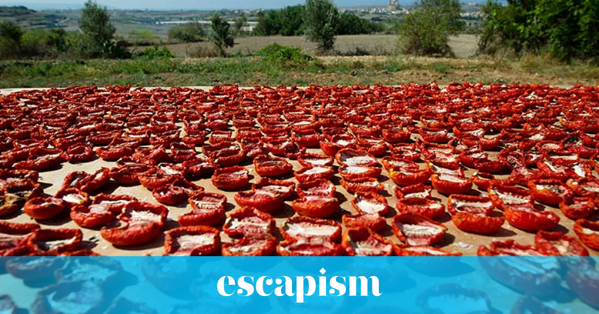 Focus On: Gozo | Escapism