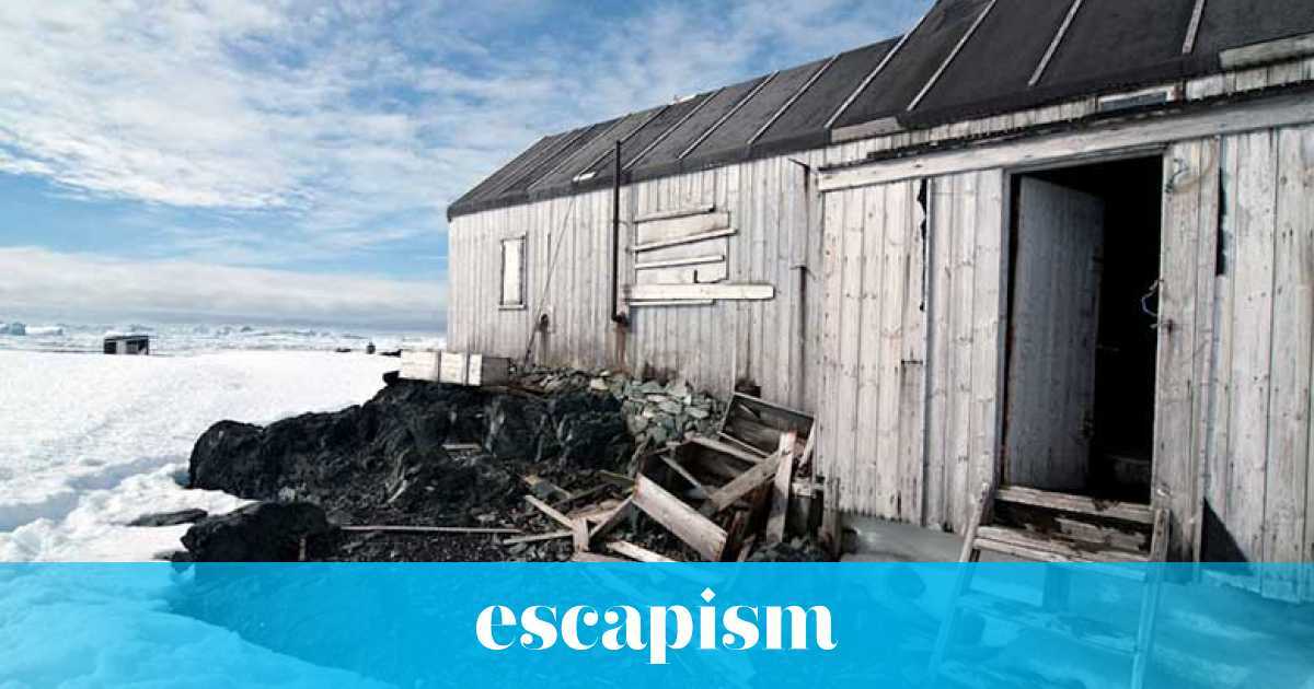 25 Images That Will Make You Want To Go To Antarctica | Escapism