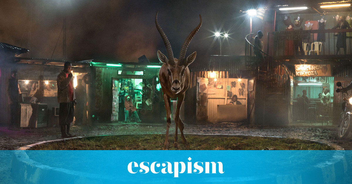 This Empty World: in photos | Escapism