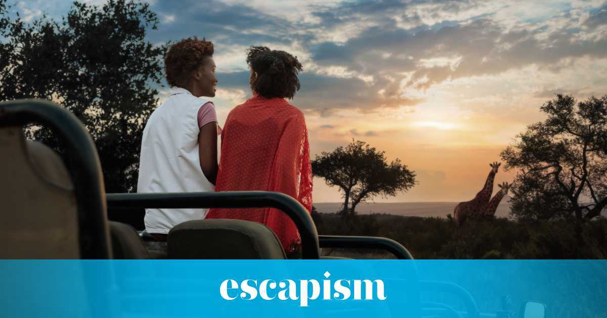 Wildlife & Conversation in South Africa | Escapism