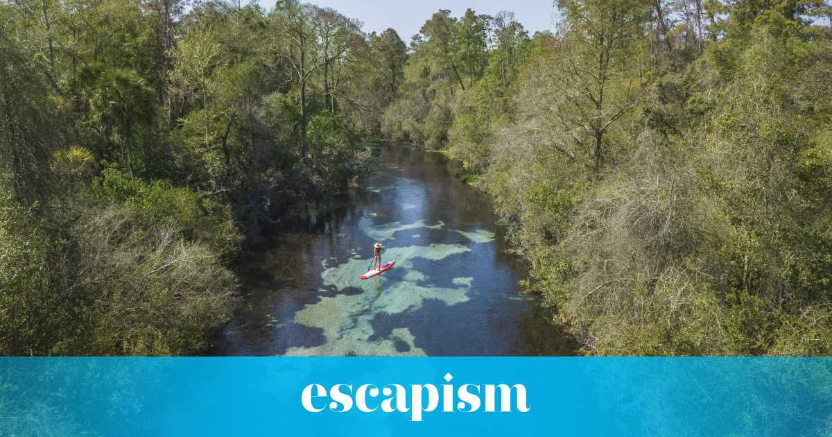What SUP: Florida by paddleboard | Escapism