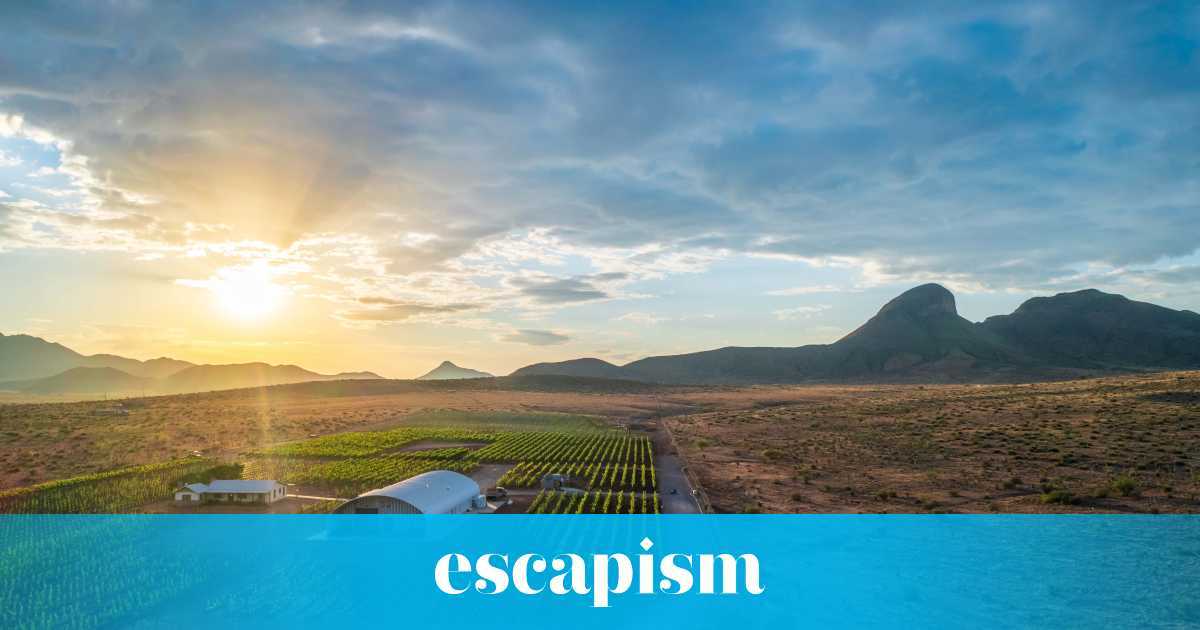 Arizona wine country: the ultimate travel guide | Escapism