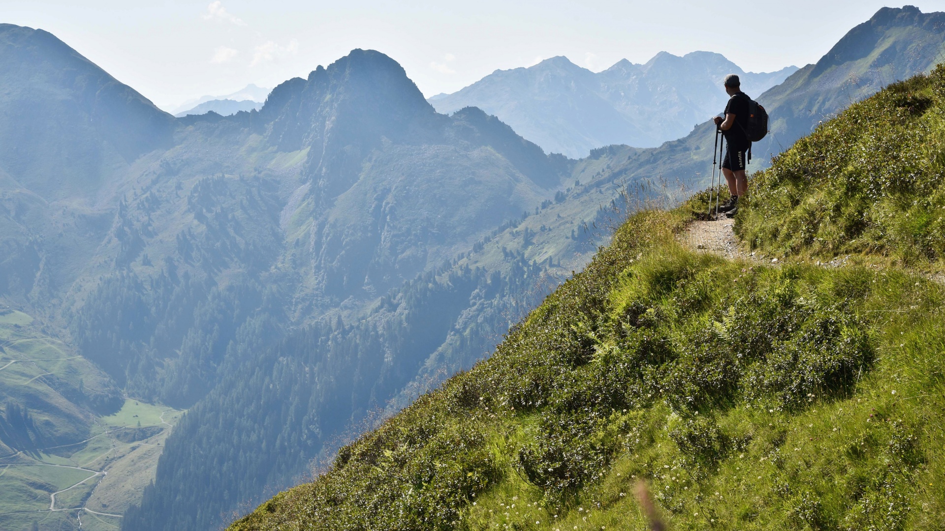 Alpbach Valley, Tirol: exploring one of Austria's most beautiful ...
