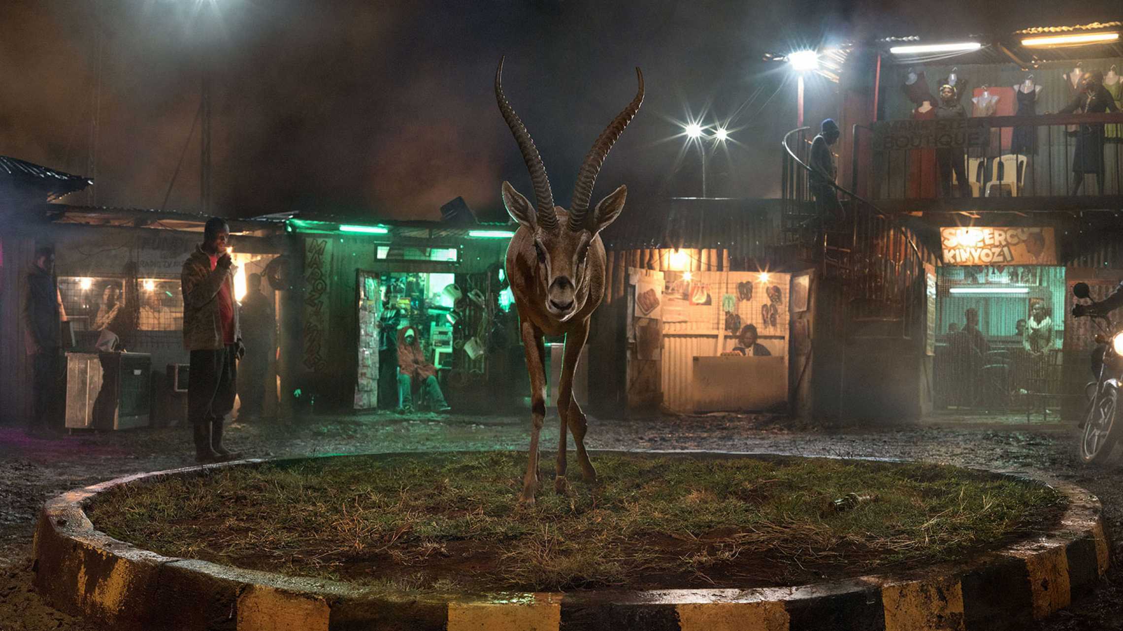 This Empty World: in photos | Escapism