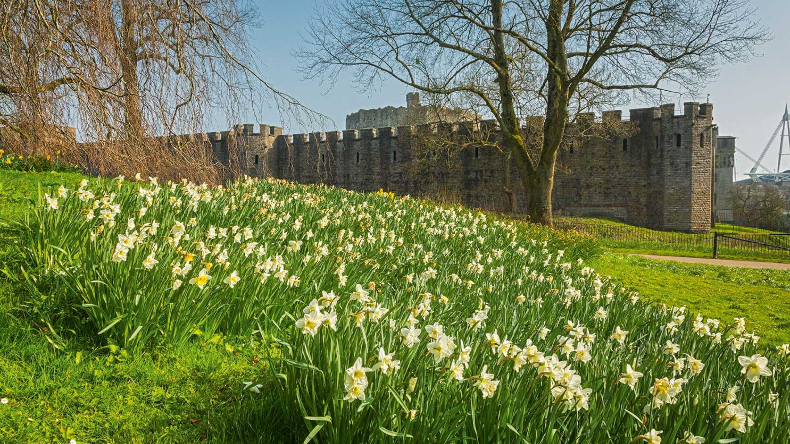 City guide: Cardiff, Wales | Escapism