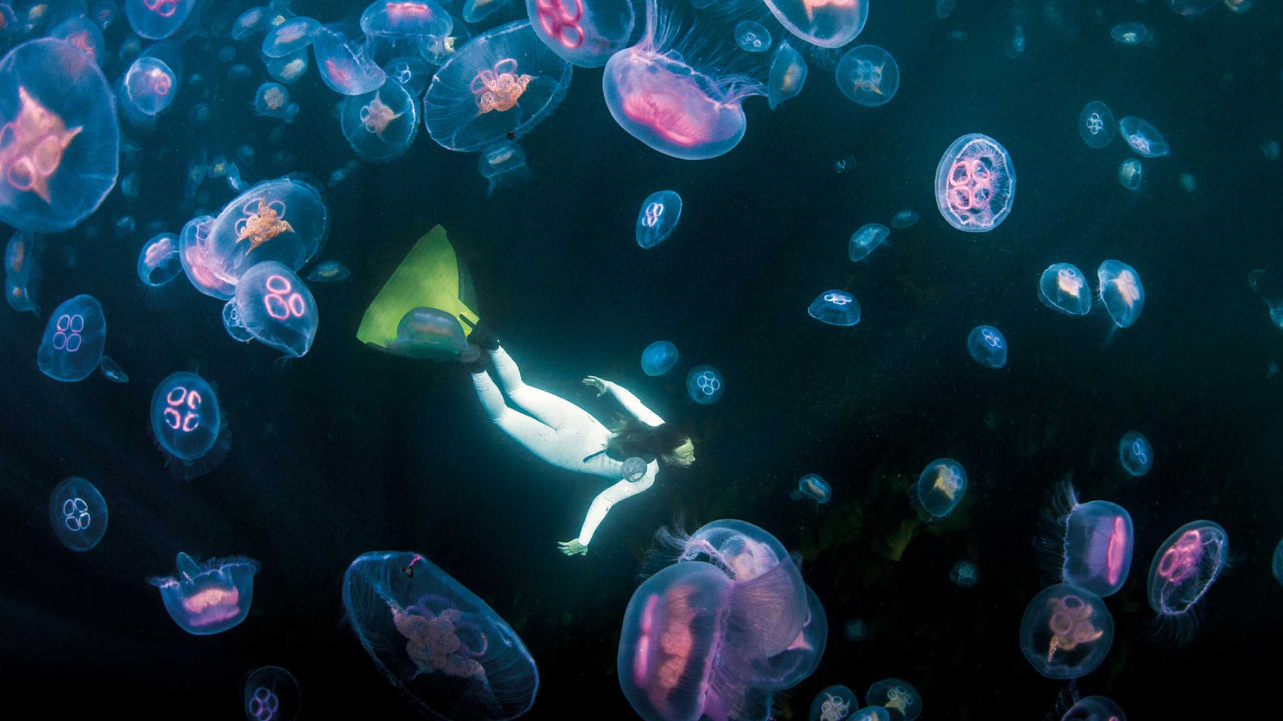 Incredible pictures from the Outdoor Photographer of the Year ...