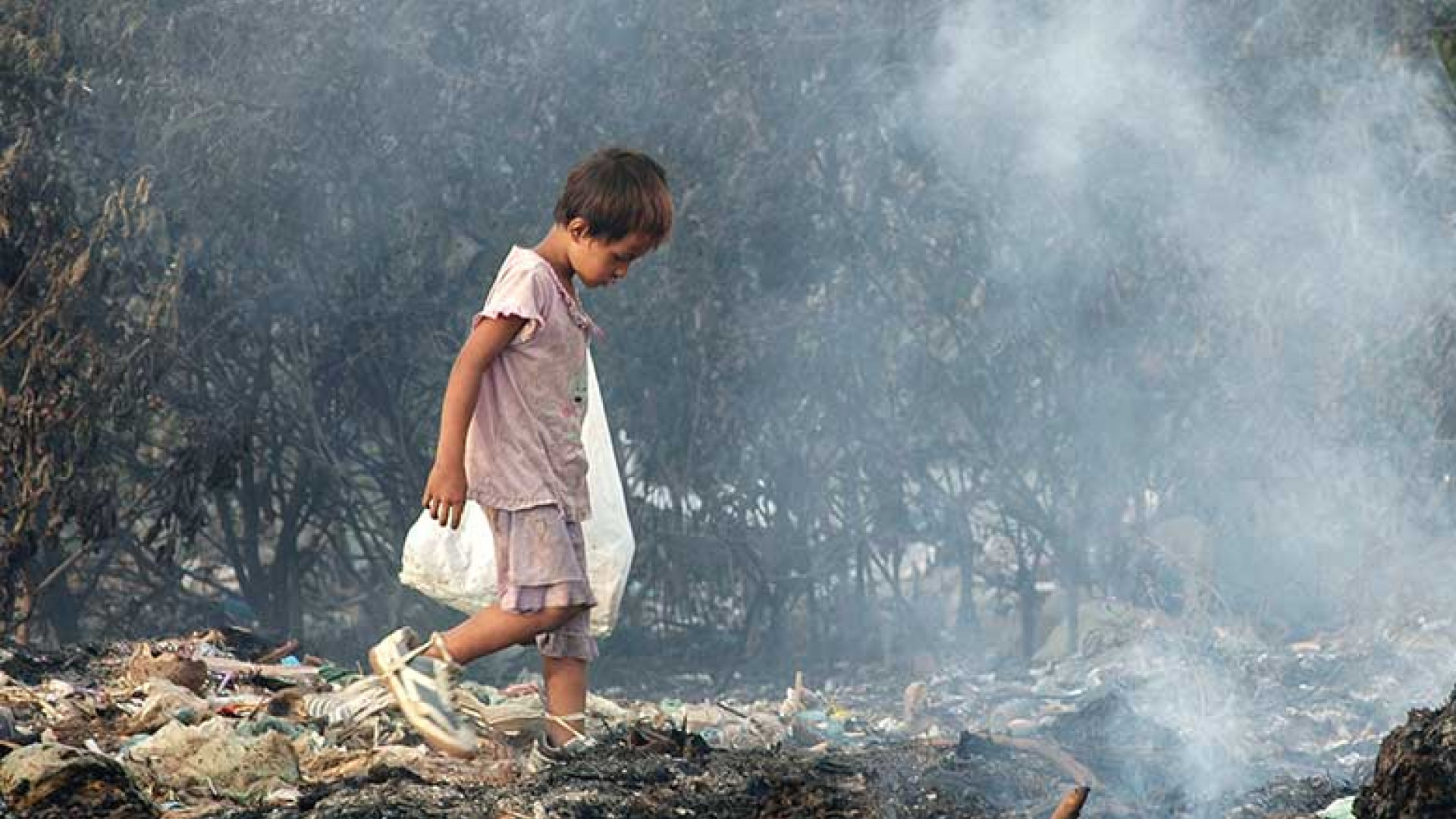 15 incredible pictures from environmental photographers | Escapism