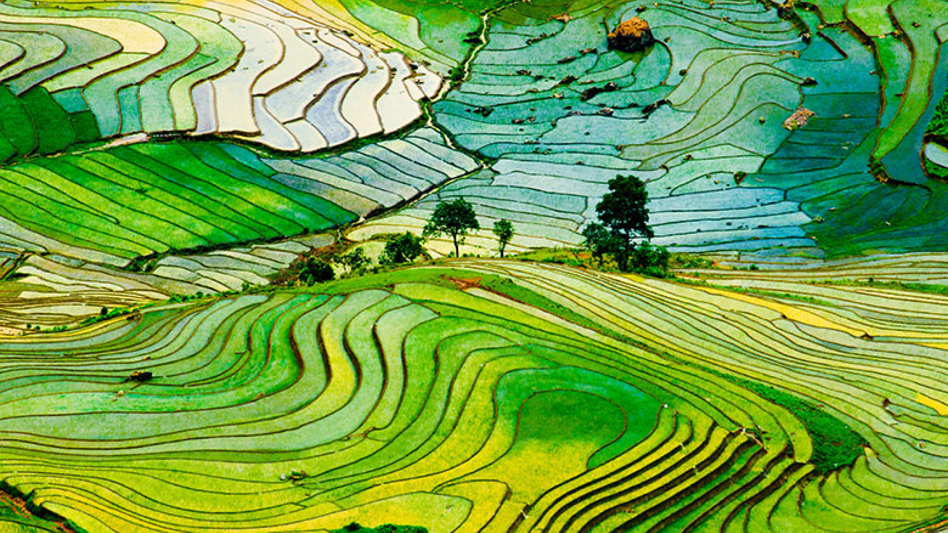 10 mesmerising pictures of ancient rice paddies | Escapism Magazine