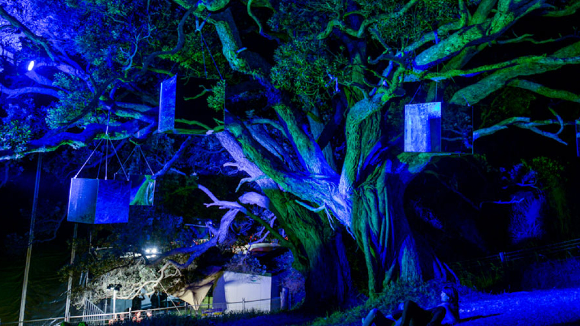 Splore | Festivals | Escapism