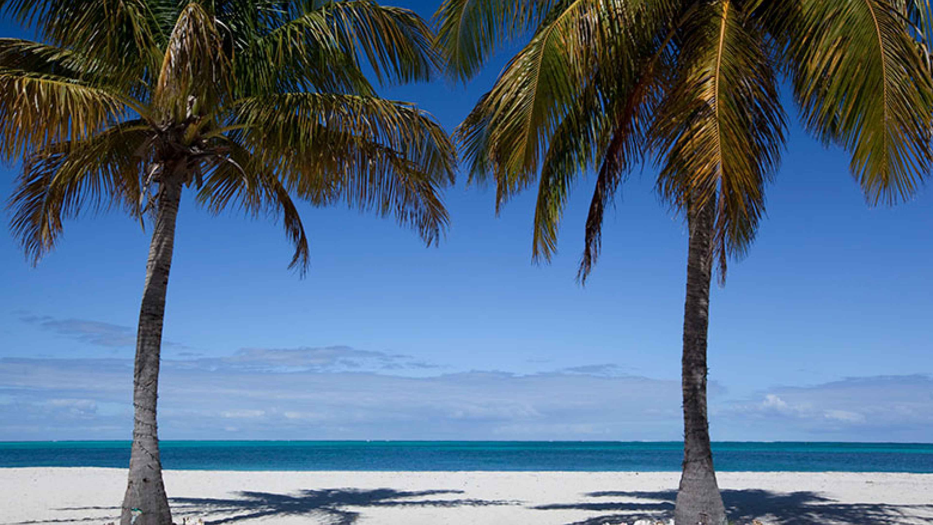Top Three: Sweet ass beaches | Escapism