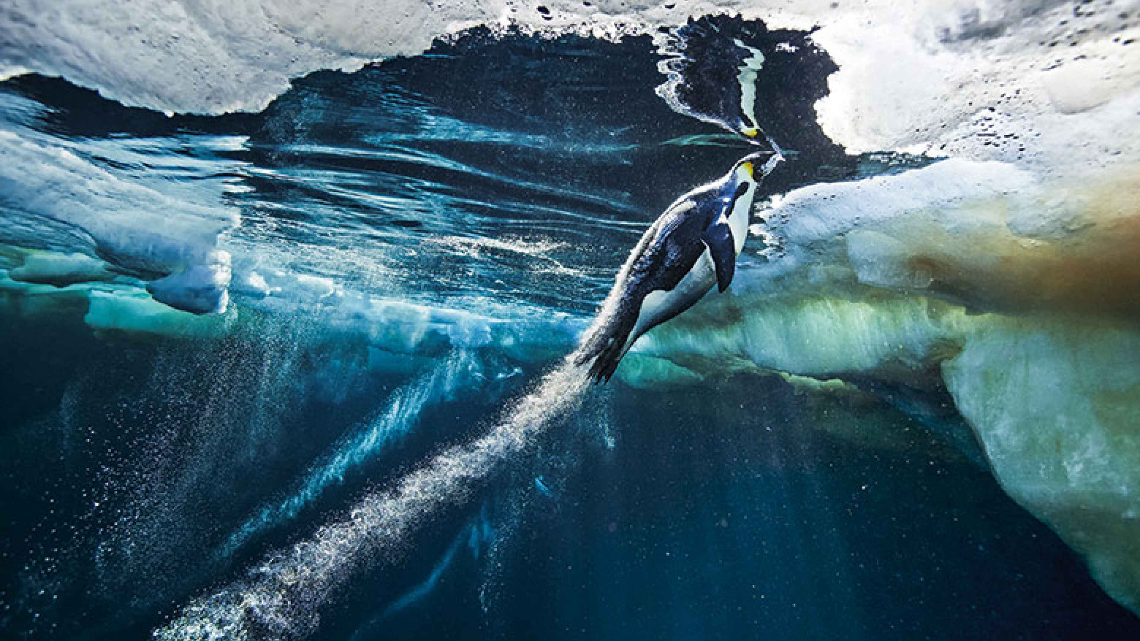 National Geographic: Around The World in 125 Years | Escapism