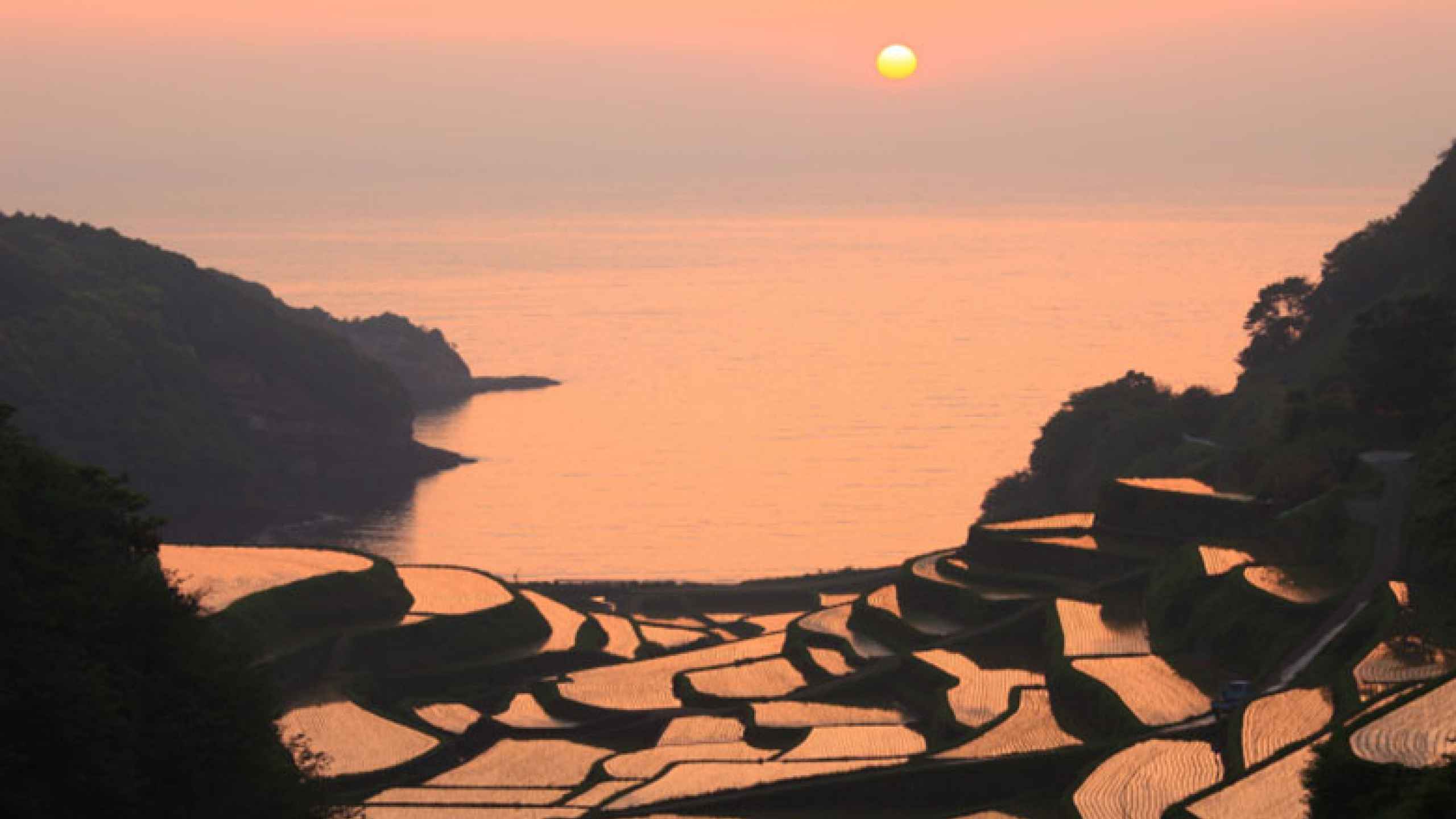 10 mesmerising pictures of ancient rice paddies | Escapism