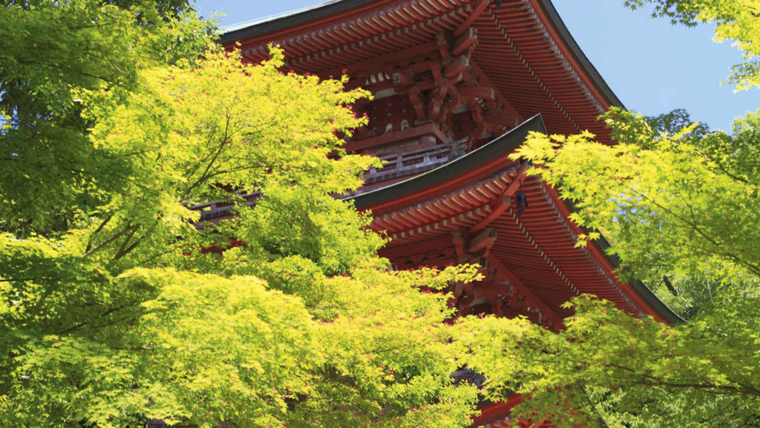 Kobe: A foodie alternative to Japan's Golden Triangle | Escapism