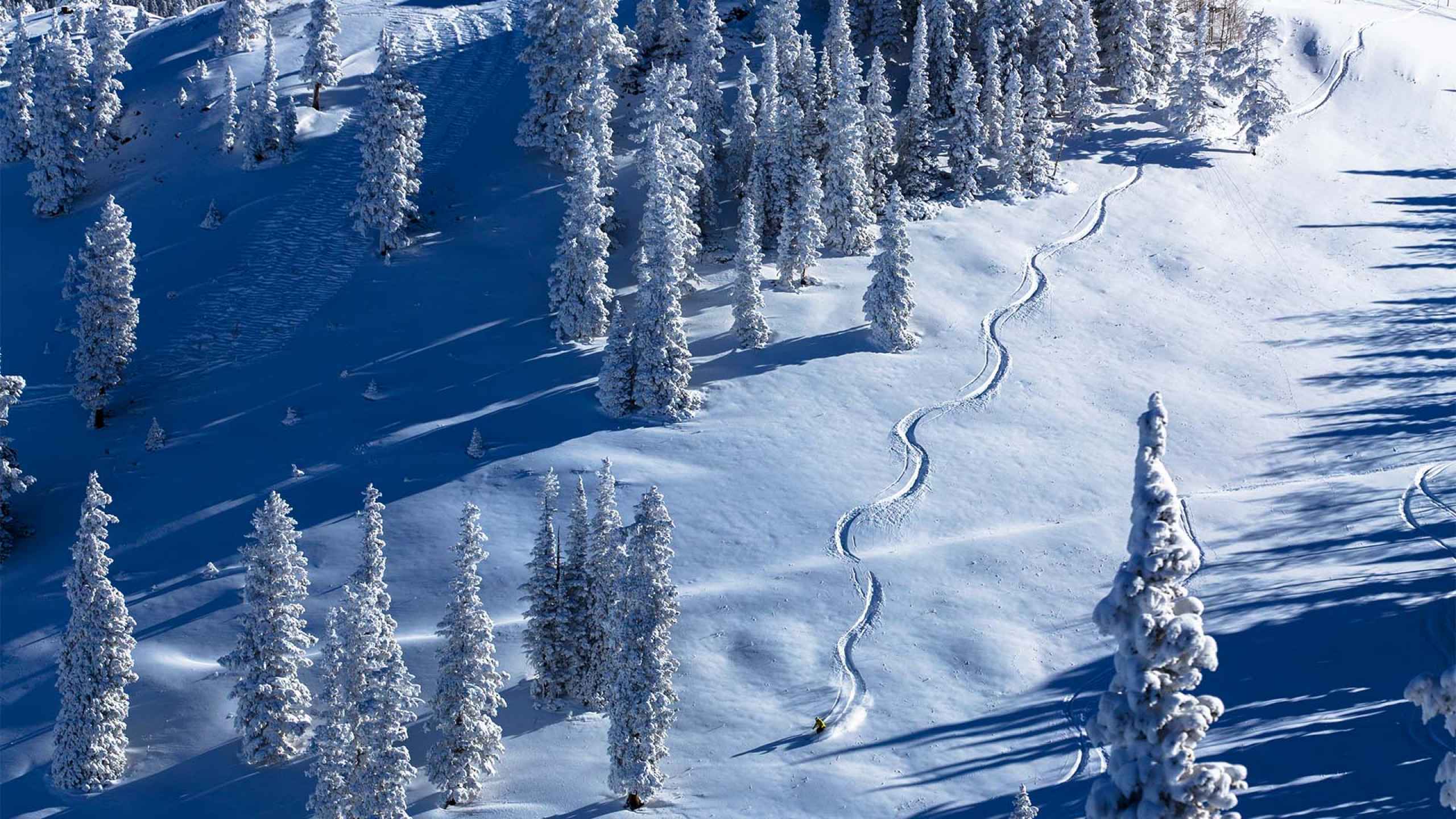 Exploring the slopes with Aspen ski patrol, Colorado | Escapism